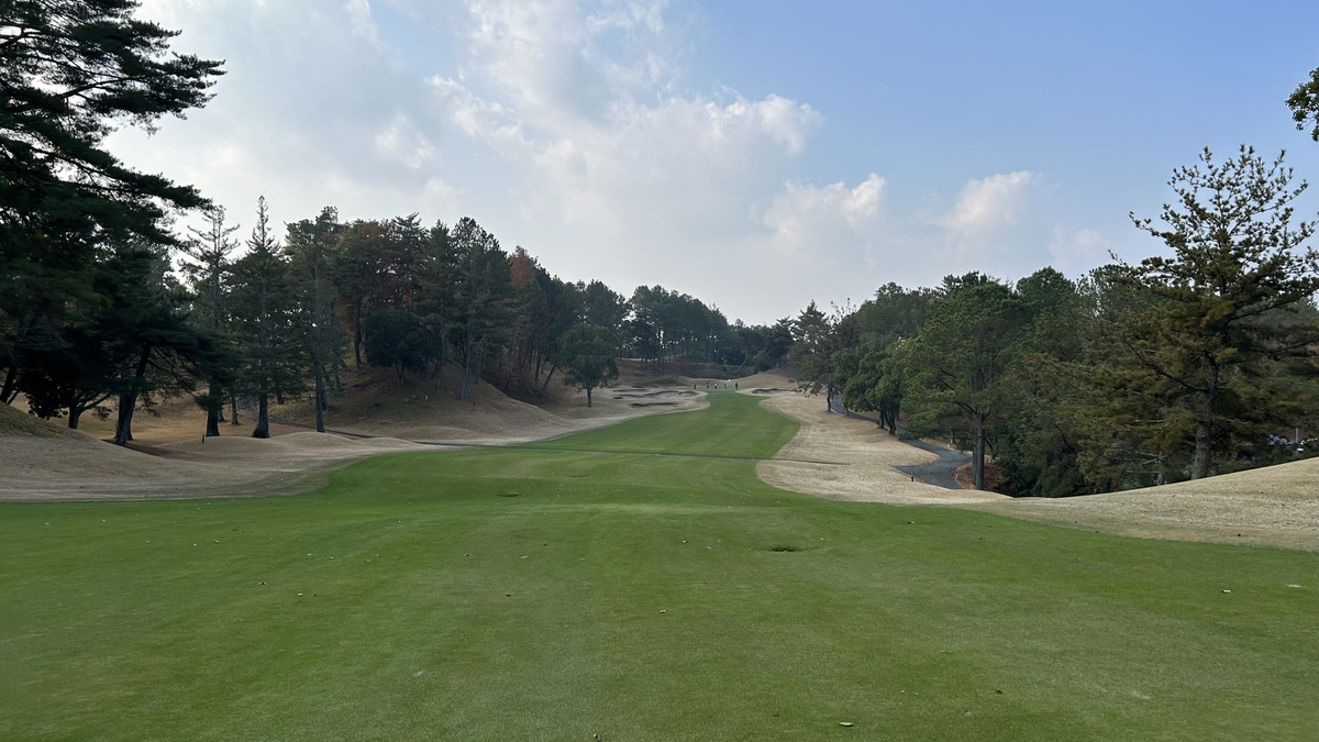 Colab blog : ロイヤルコース！