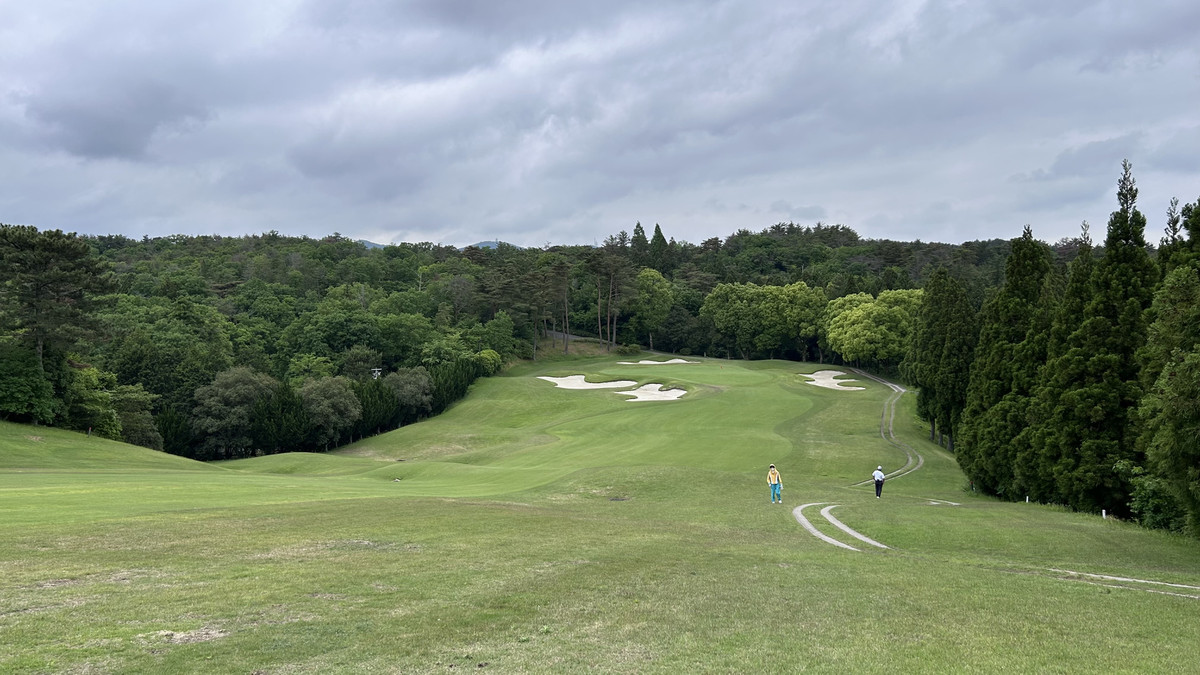 Colab blog : 半年振り！