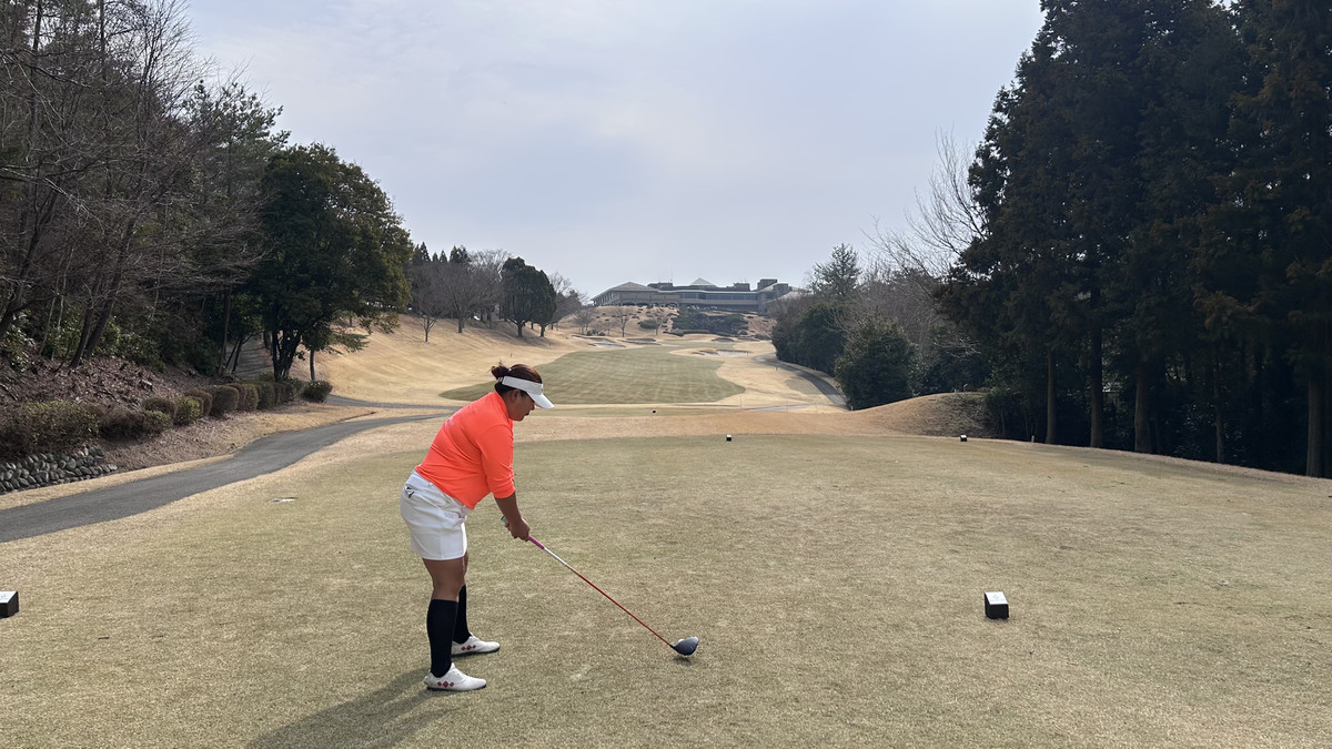 Colab blog : 朝から！