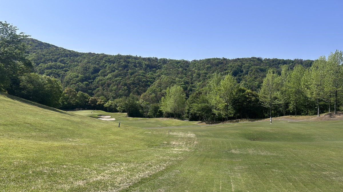 Colab blog : 終わり！？